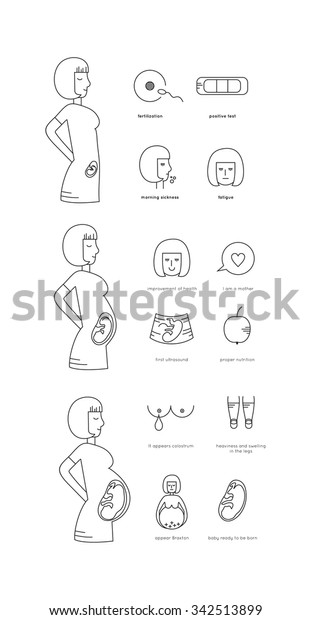 Perfect Pregnancy Icon Vector Stages Pregnancy Stock Vector (Royalty ...