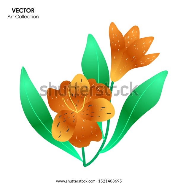 Peruvian Lily Flower Isolate Vector Illustration Stock Vector (Royalty ...