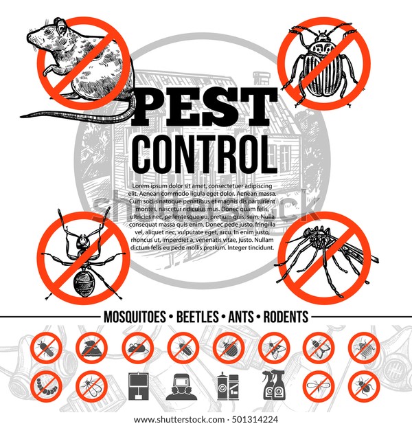 Pest Control Infographics Icons Insects Rat Stock Vector (Royalty Free ...