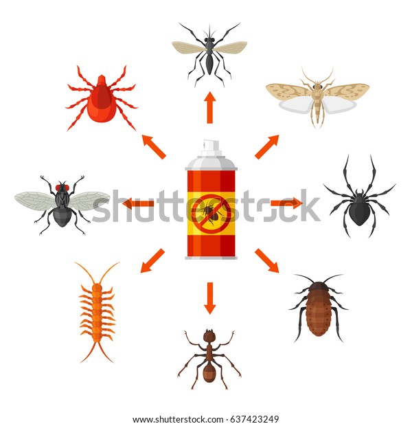 Pest Control Insecticide Vector Illustration Identification Stock ...