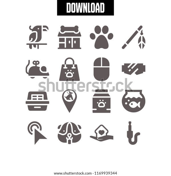 Pet Icon 16 Pet Vector Set Stock Vector (Royalty Free) 1169939344 ...