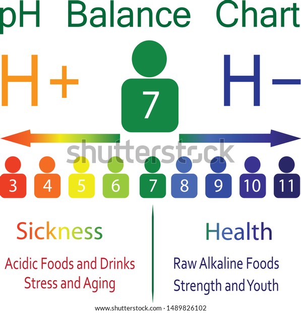 Ph Level Balance Chart Scale Showing Stock Vector (Royalty Free ...