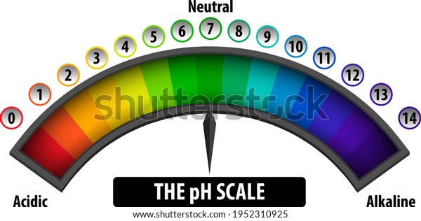 Ph Scale Diagram On White Background Stock Vector (Royalty Free ...