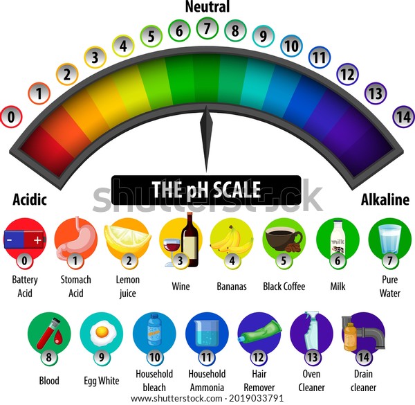 Ph Scale Diagram On White Background Stock Vector (Royalty Free ...