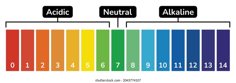 Ph Scale Icon Acidic Neutral Alkaline: เวกเตอร์สต็อก (ปลอดค่าลิขสิทธิ์ ...