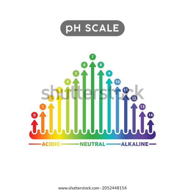 Ph Scale Indicator Chart Diagram Ph: Vector có sẵn (miễn phí bản quyền ...