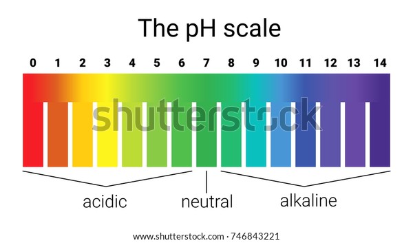 ph scale. infographic acid-base balance. scale for chemical analysis ...