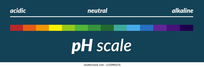 Ph Scalevector Illustration Colorful Graph Test Stock-vektor ...