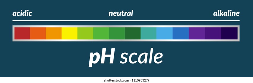 Ph Scalevector Illustration Colorful Graph Test Stock-vektor ...