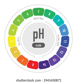Ph Value Scale Chart Acid Alkaline Stock Vector (Royalty Free ...