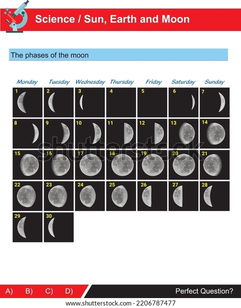 Phases Moon During Month On Topic Stock Vector (Royalty Free ...