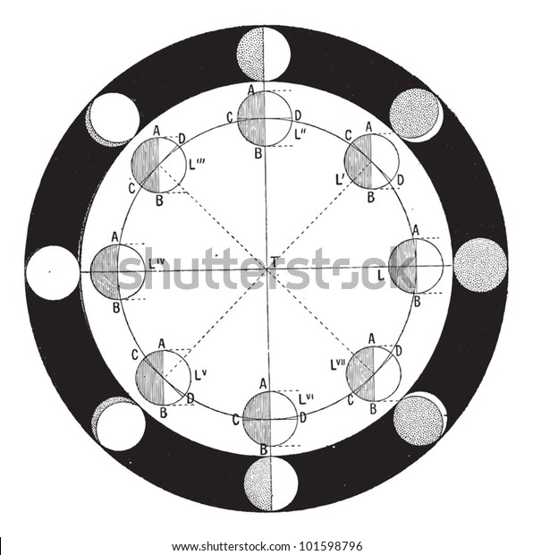 Phases Moon Lunar Phase Vintage Engraved Stock Vector (Royalty Free ...