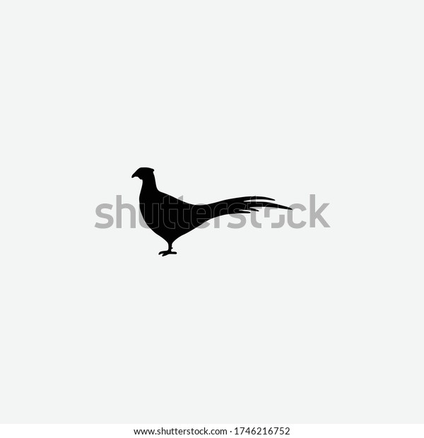 Pheasant Graphic Element Illustration Template Design Stock Vector ...
