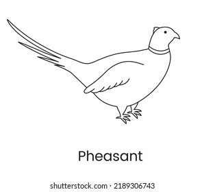 792 Pheasant line drawing Images, Stock Photos & Vectors | Shutterstock