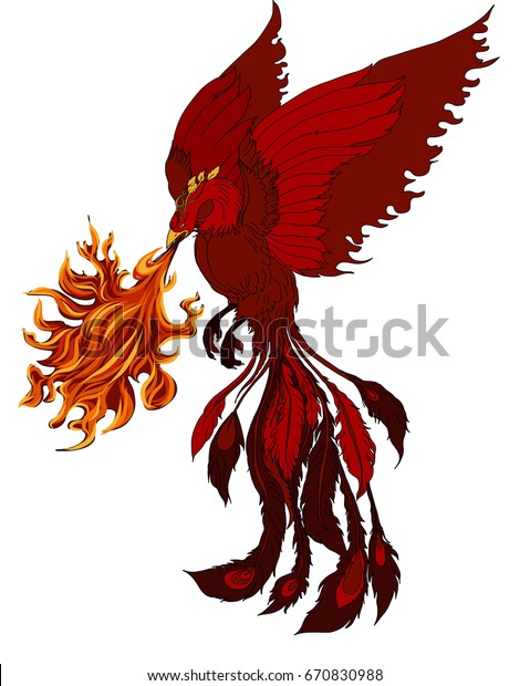 Phoenix Fire Bird Illustration Character Designhand Stock Vector ...