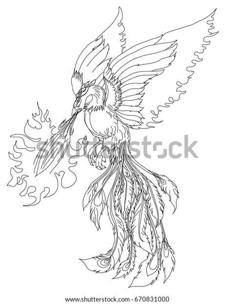 Phoenix Fire Bird Illustration Character Designhand Stock Vector ...