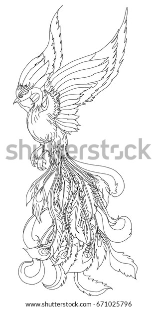 Phoenix Fire Bird Outline Doodle Stylehand Stock Vector (Royalty Free ...