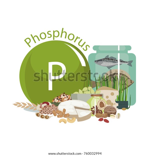 Phosphorus. Food sources. Food products with the maximum Phosphorus ...