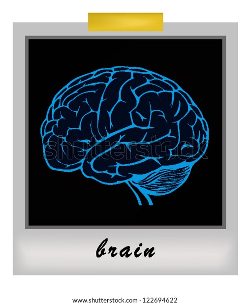 Photo Frame Human Brain Vector Illustration Stock Vector (Royalty Free ...