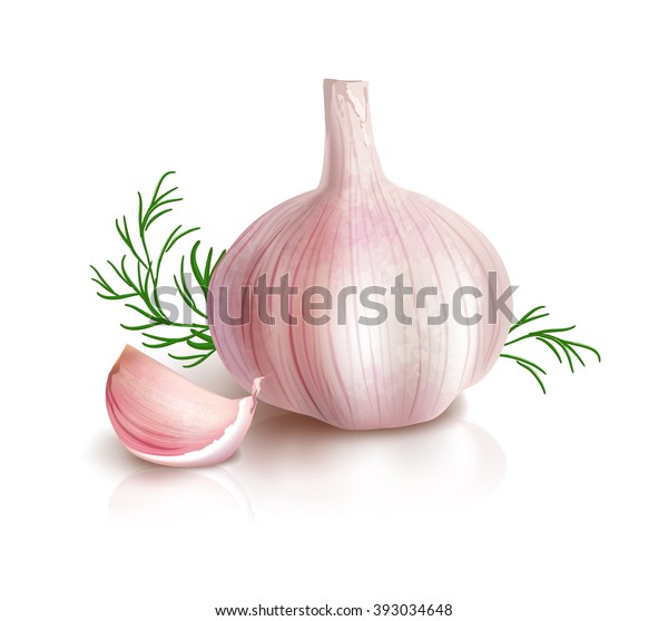 Photo Realistic Vector Garlic On White Stock Vector (Royalty Free ...