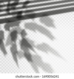 Overshadow Stock Vectors, Images & Vector Art | Shutterstock