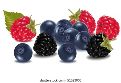 Photorealistic Vector Illustration Group Berries Stock Vector (Royalty ...