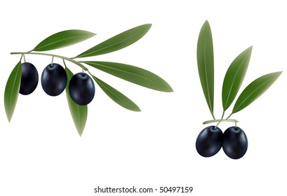 Photorealistic Vector Illustration Three Branches Black Stock Vector ...