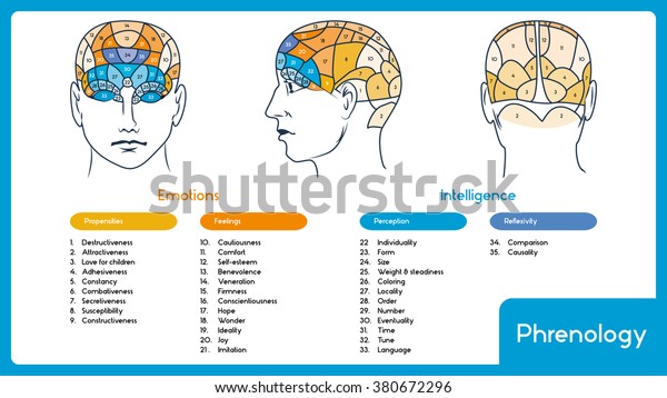 Phrenology Head Brain Map Inphographic Transcript Stock Vector (Royalty ...