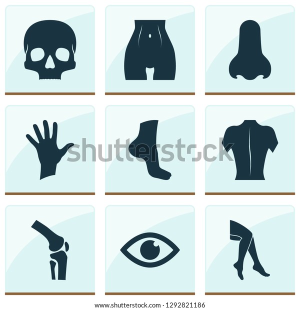 Physique Icons Set Leg Palm Eye Stock Vector (Royalty Free) 1292821186 ...