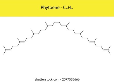 Phytoene Skeletal Structure Molecular Formula Organic Stock Vector ...