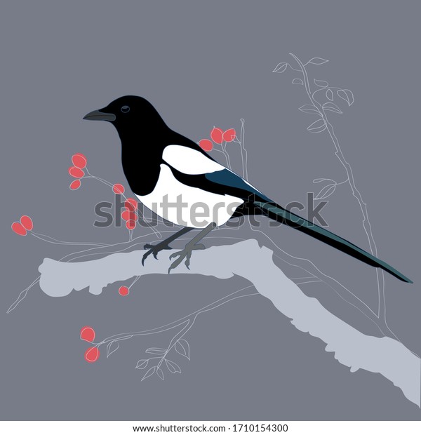 Pica Pica Magpie Vector Drawing Wild Stock Vector (Royalty Free) 1710154300
