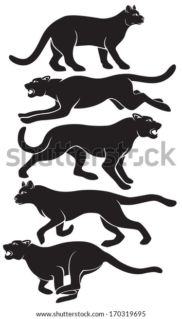 Picture Painted Wildcat Stock Vector (Royalty Free) 170319695 ...