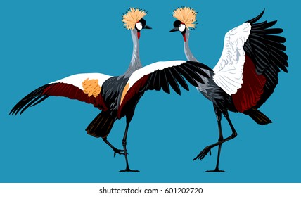 185 Goiter in birds Images, Stock Photos & Vectors | Shutterstock