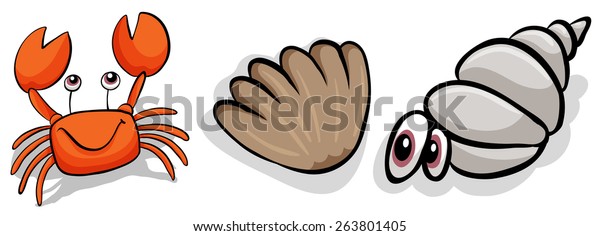 Pictures Three Types Sea Life Stock Vector (Royalty Free) 263801405