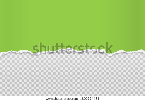 Piece Torn Horizontal Green Paper Soft Stock Vector (Royalty Free ...