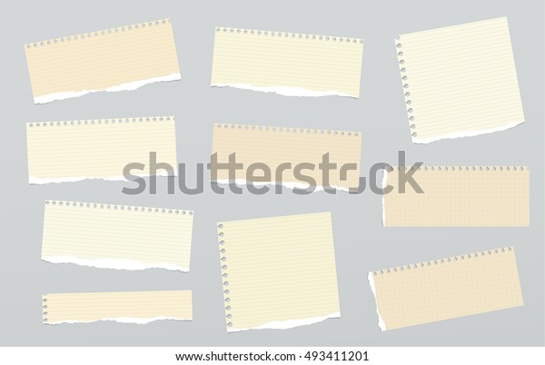 Pieces Light Brown Ruled Torn Note Stock Vector (Royalty Free ...