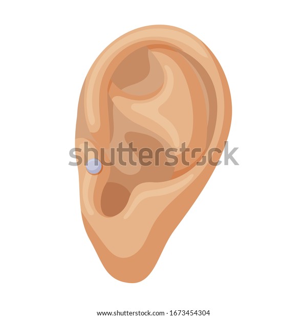 Piercing Ear Vector Iconcartoon Vector Icon Stock Vector (Royalty Free ...