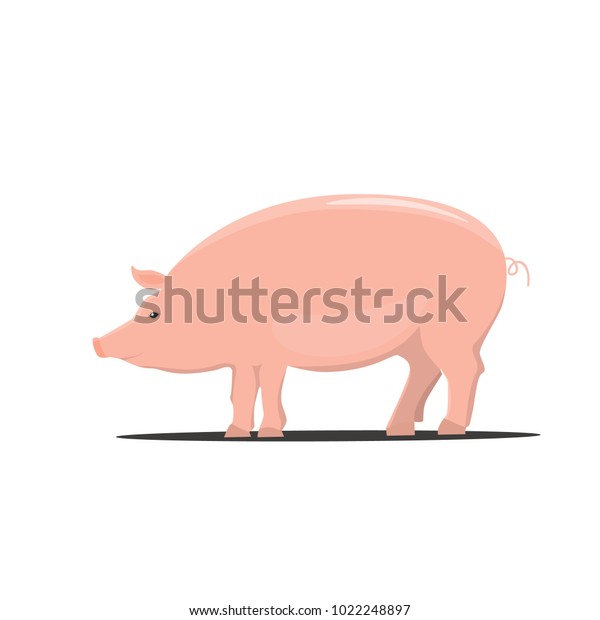 Pig Color Cartoon Vector Illustrations Isolated Stock Vector (Royalty ...