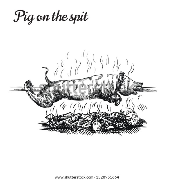 Pig Cooked On Coals Rotates On Stock Vector (Royalty Free) 1528951664 ...