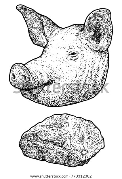 Pig Head Illustration Drawing Engraving Ink Stock Vector (Royalty Free ...