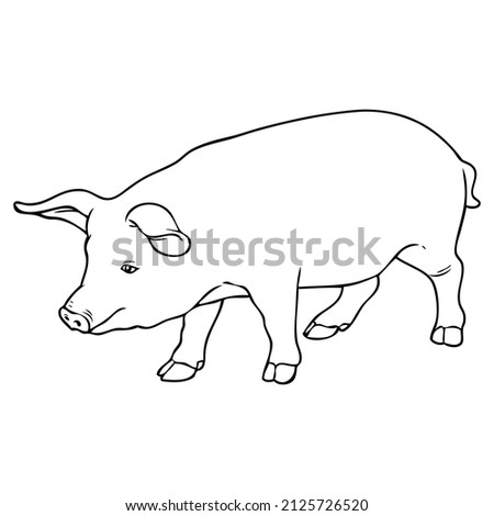 Pig Cartoon Pictures | Free download on ClipArtMag