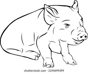 Pig Outline Vector Illustrations Design Stock Vector (Royalty Free ...