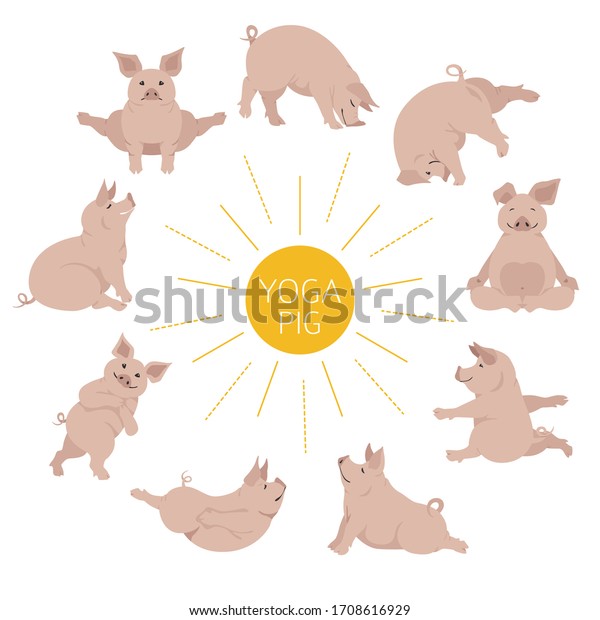 Pig Yoga Poses Exercises Cute Cartoon Stock Vector (Royalty Free ...
