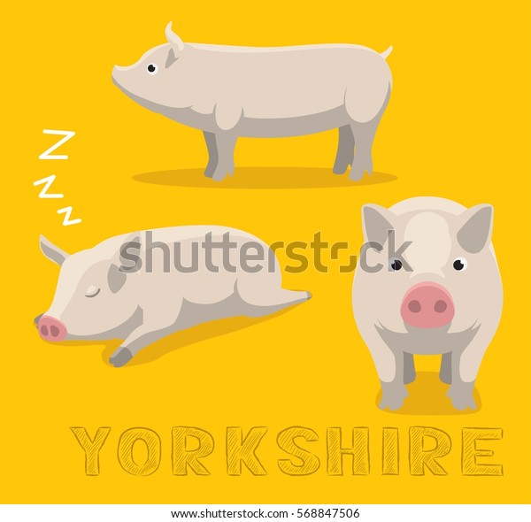 Pig Yorkshire Cartoon Vector Illustration Stock Vector (Royalty Free ...
