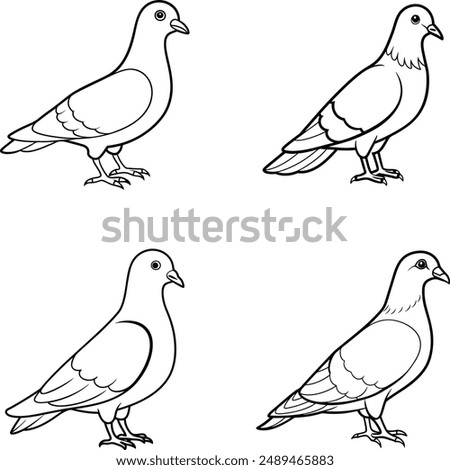 Pigeon Drawing Outline | Free download on ClipArtMag