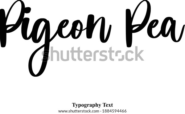 Pigeon Pea Beautiful Cursive Typography Text Stock Vector (Royalty Free ...
