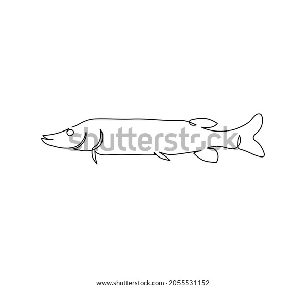 Pike Freshwater Fish Continuous Line Drawing Stock Vector (Royalty Free ...
