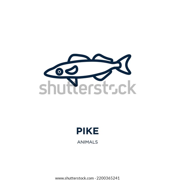 Pike Icon Animals Collection Thin Linear Stock Vector (Royalty Free ...