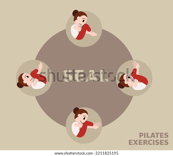 Pilates Moves Exercises Seal Cute Cartoon Stock Vector (Royalty Free ...