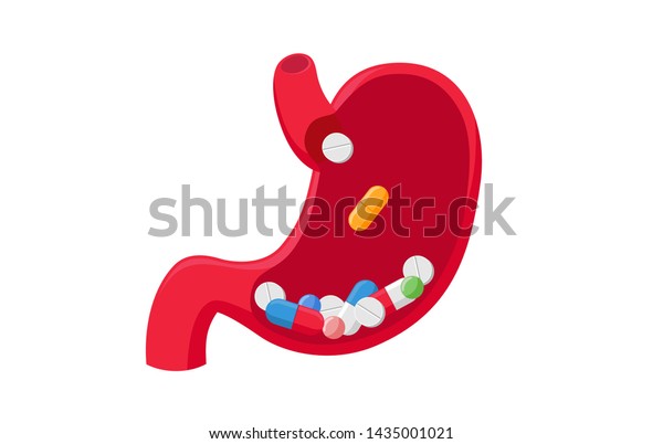 Pills Tablets Human Stomach Taking Medicine Stock Vector (Royalty Free ...